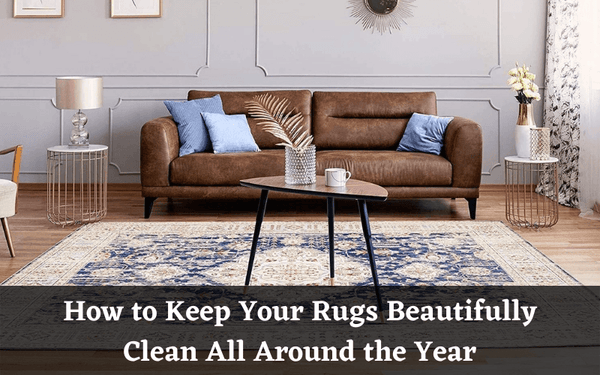 How to Keep Your Rugs Beautifully Clean Year-Round – The Rug District